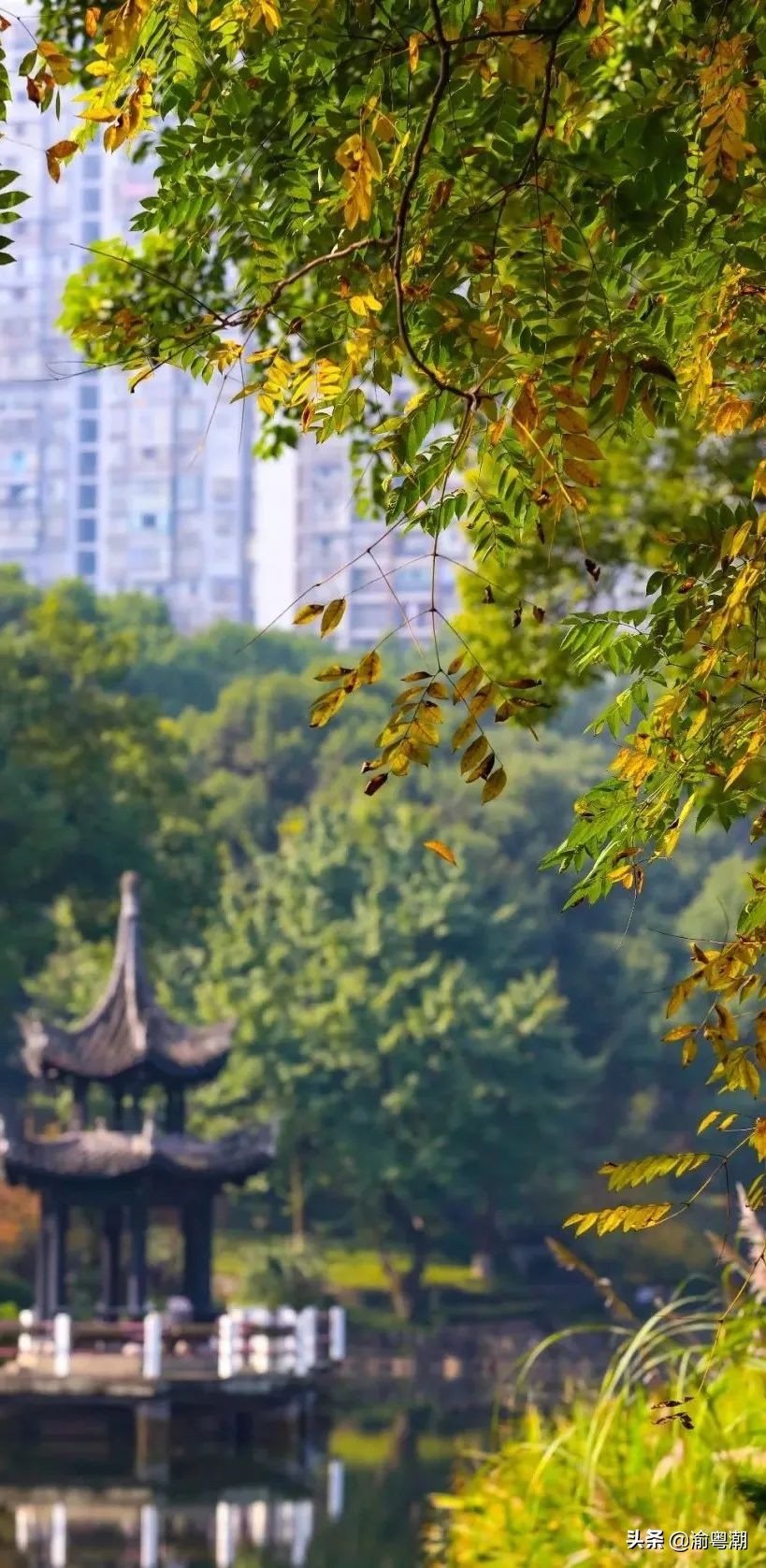 How much are you familiar with the Shapingba landmark? - iNEWS