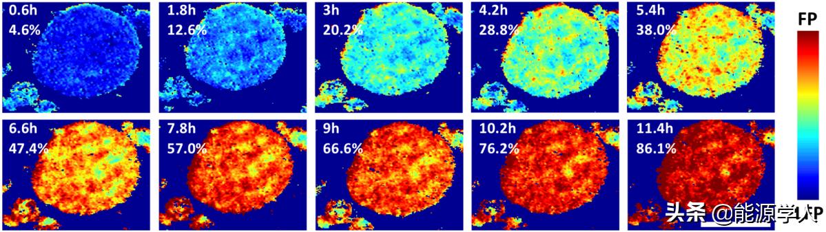 The role of reaction heterogeneity and intercalation-induced stress in ...