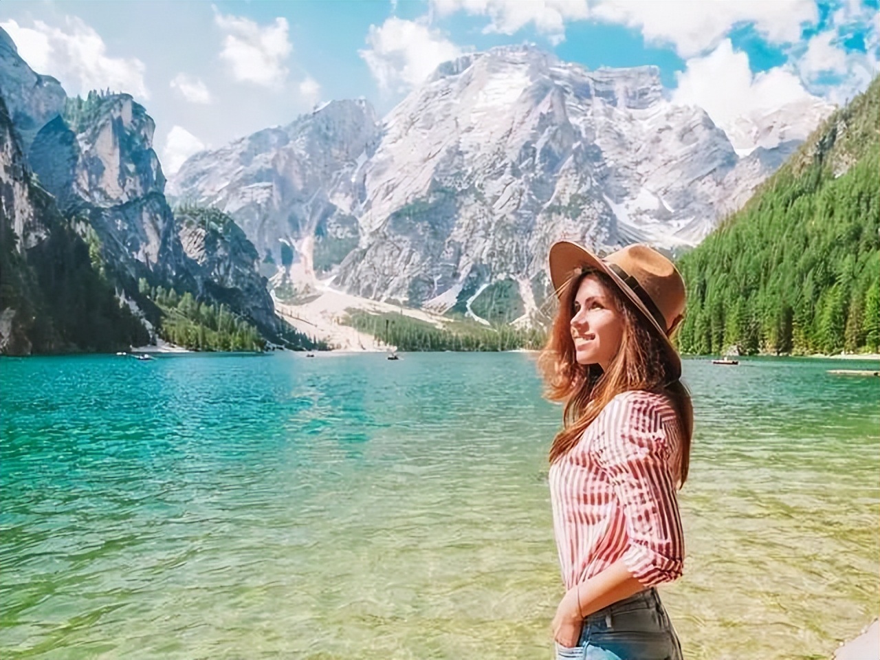 Why are there three types of terrestrial natural zones in the small New ...