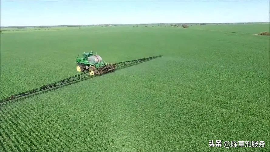 Insecticide--Lufenuron's characteristics and application method - iNEWS