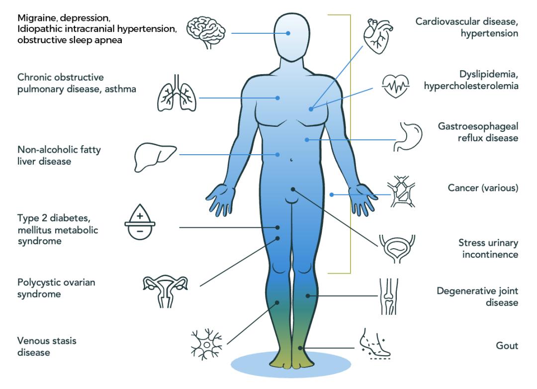 George Church and his anti-aging research: There is no upper limit to ...
