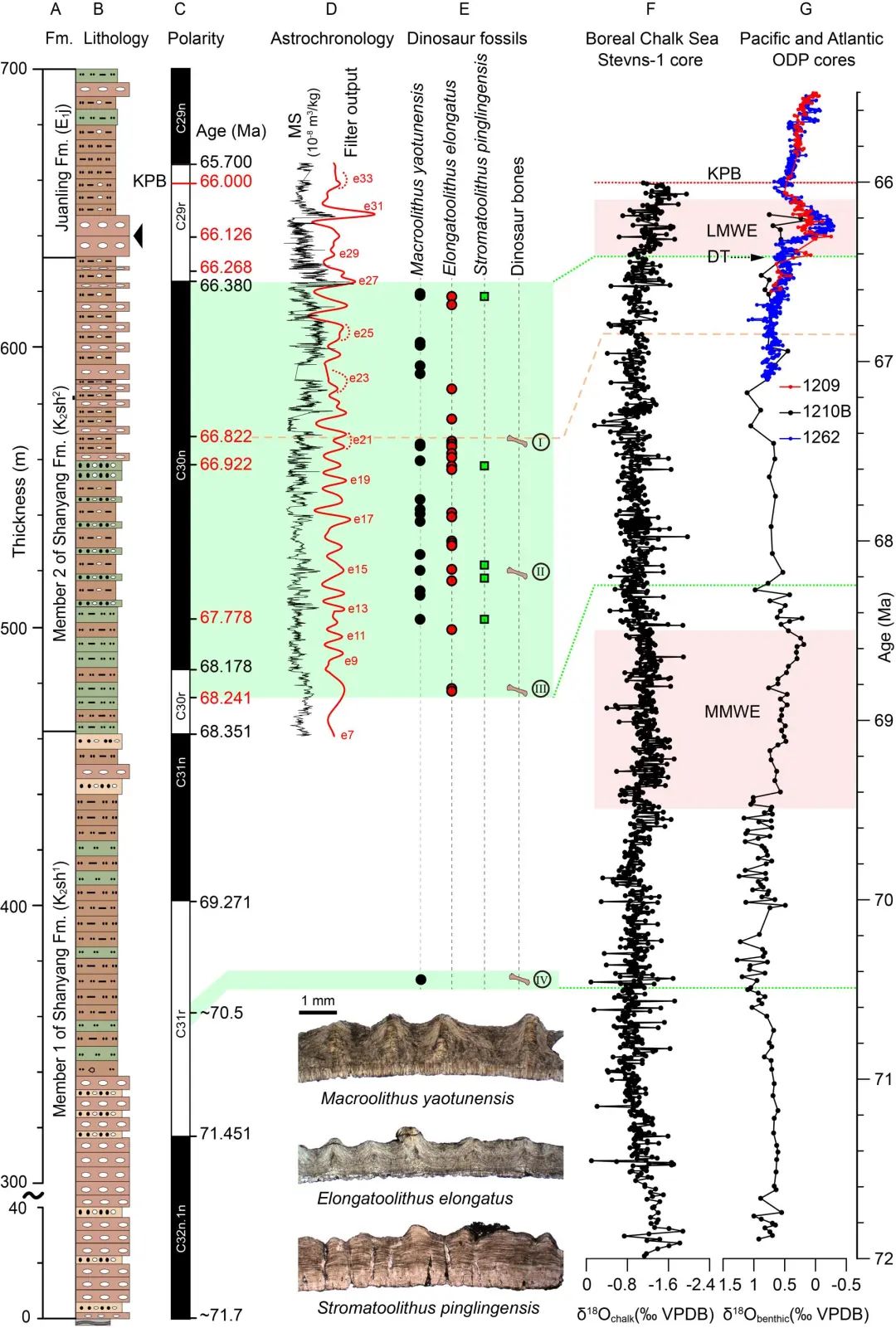 Why did dinosaurs become extinct? - iMedia