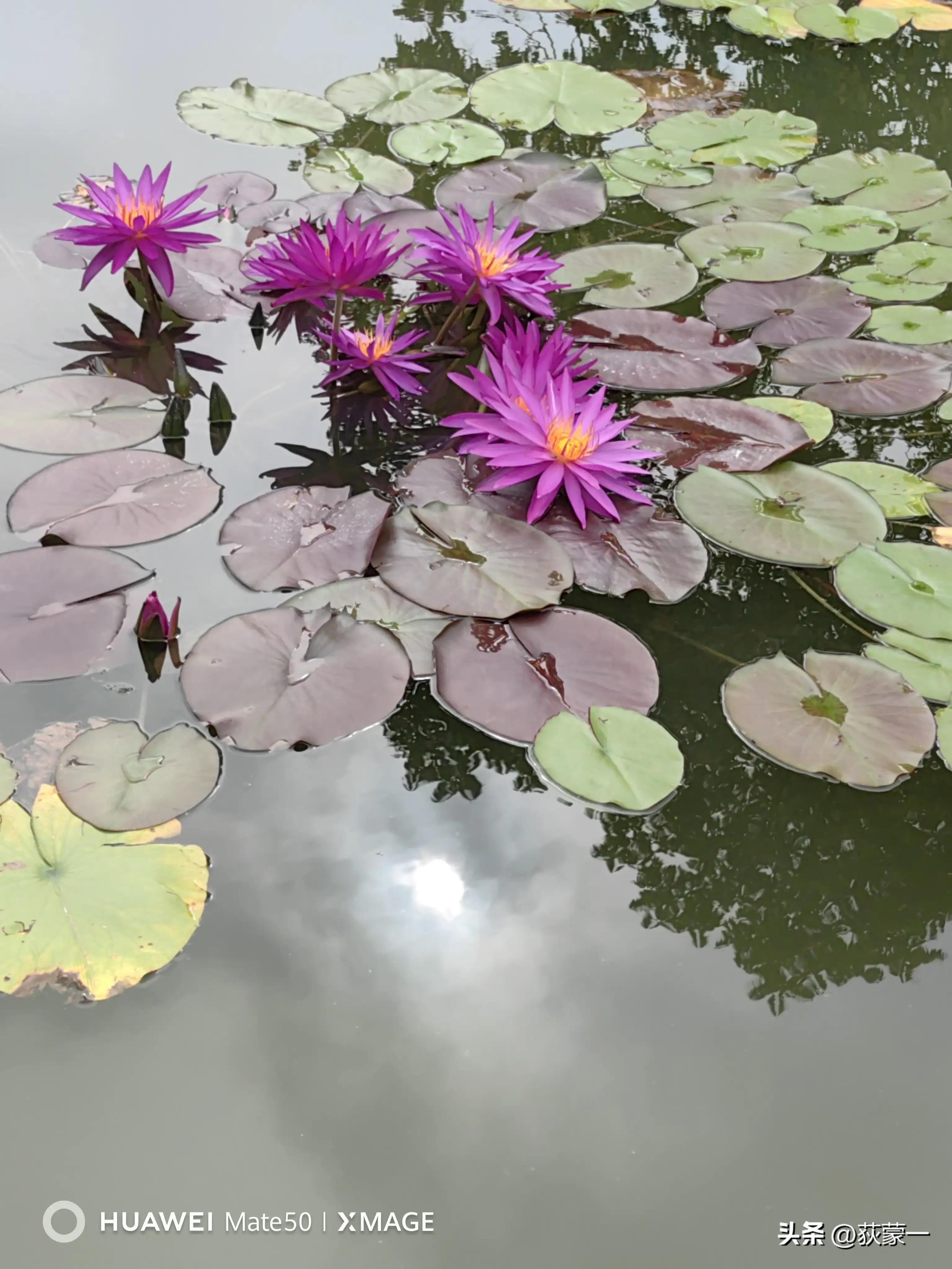 A different kind of miss - iMedia