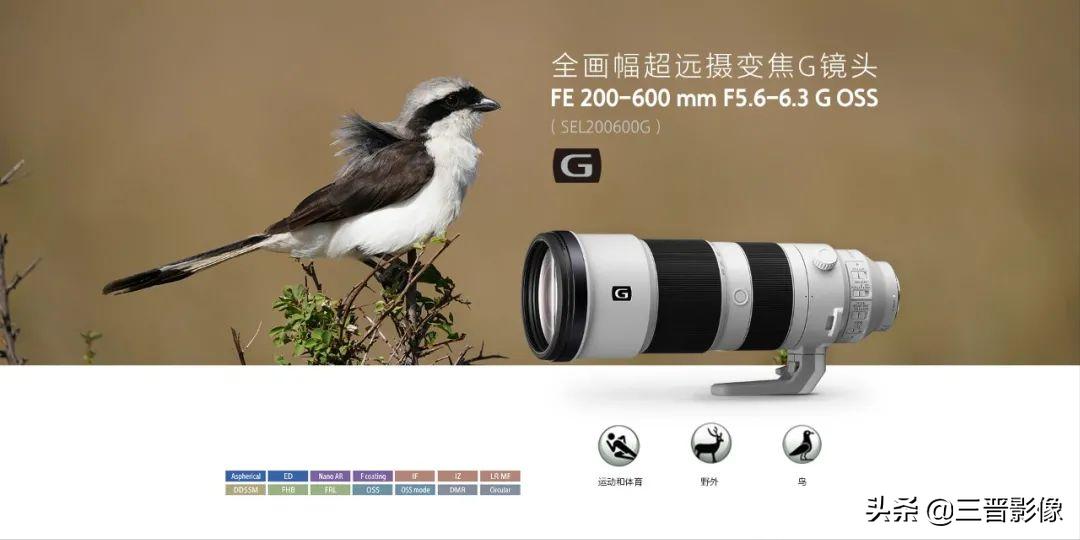 How to choose a bird shot?Sony's most noteworthy - iNEWS