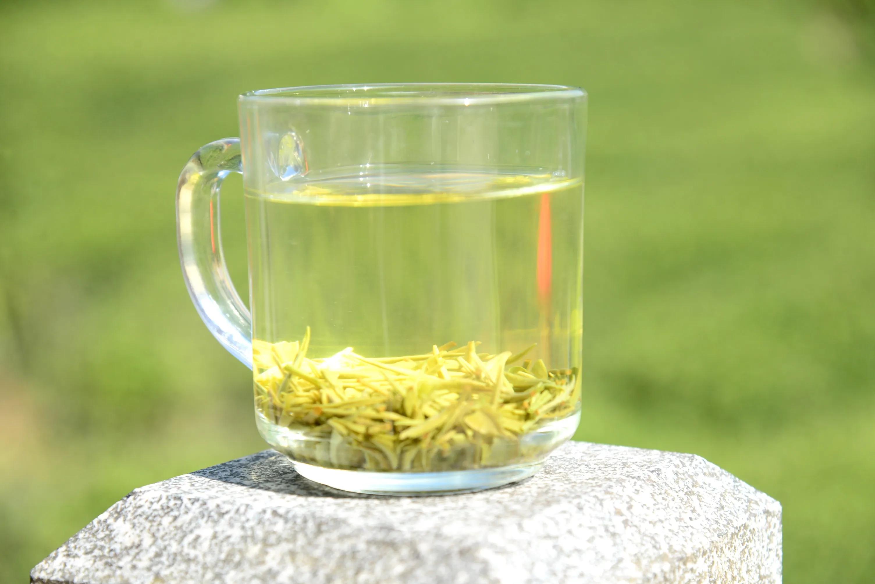 High mountain clouds produce good tea Tea gardens above the clouds ...