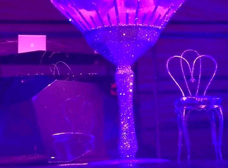 Dita Vantis, Queen of Crazy Horse Show, unique champagne dance, a ...