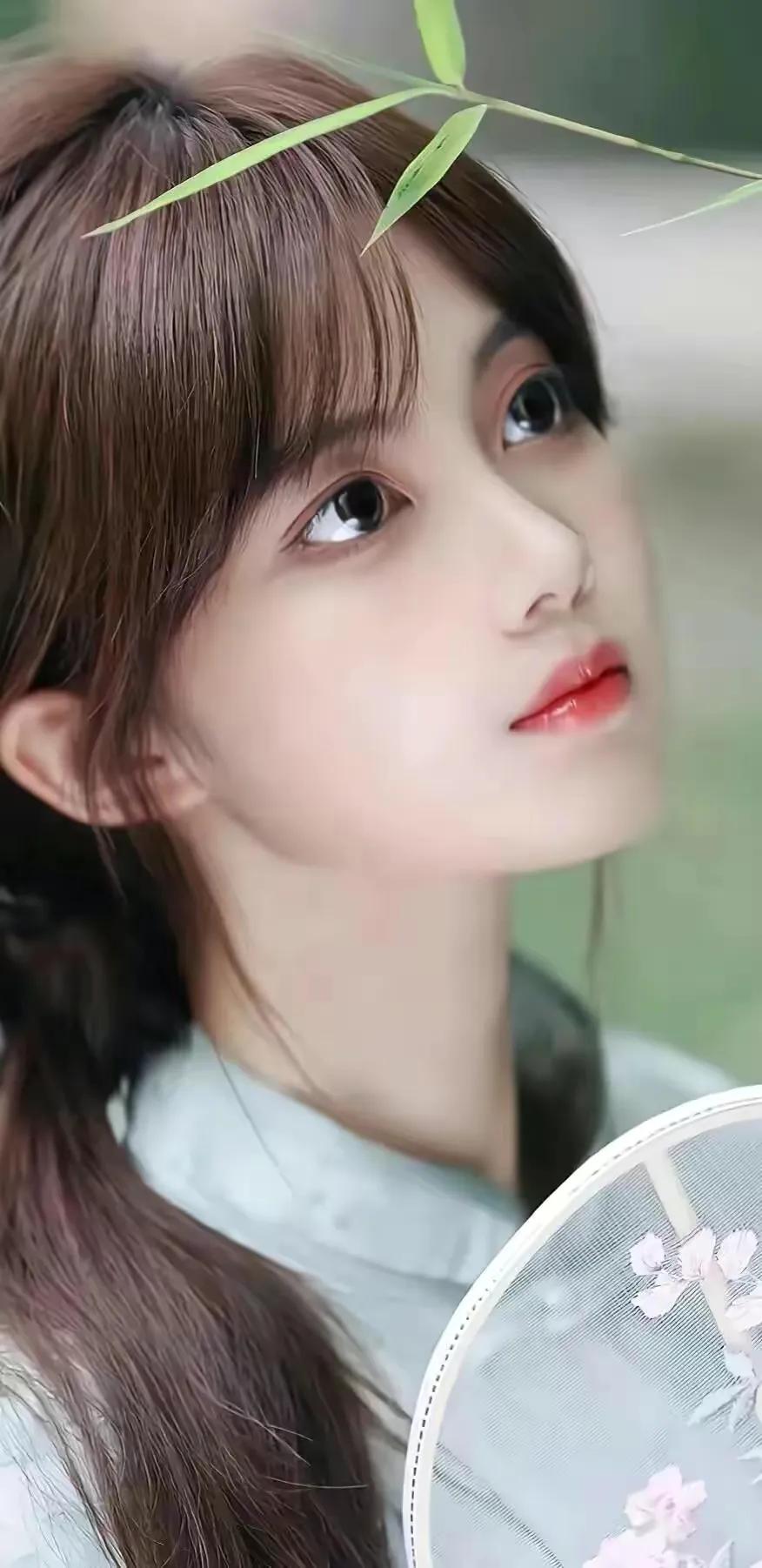 Bai Xueyang's Spring Biography: Tao Jingjuan - iMedia