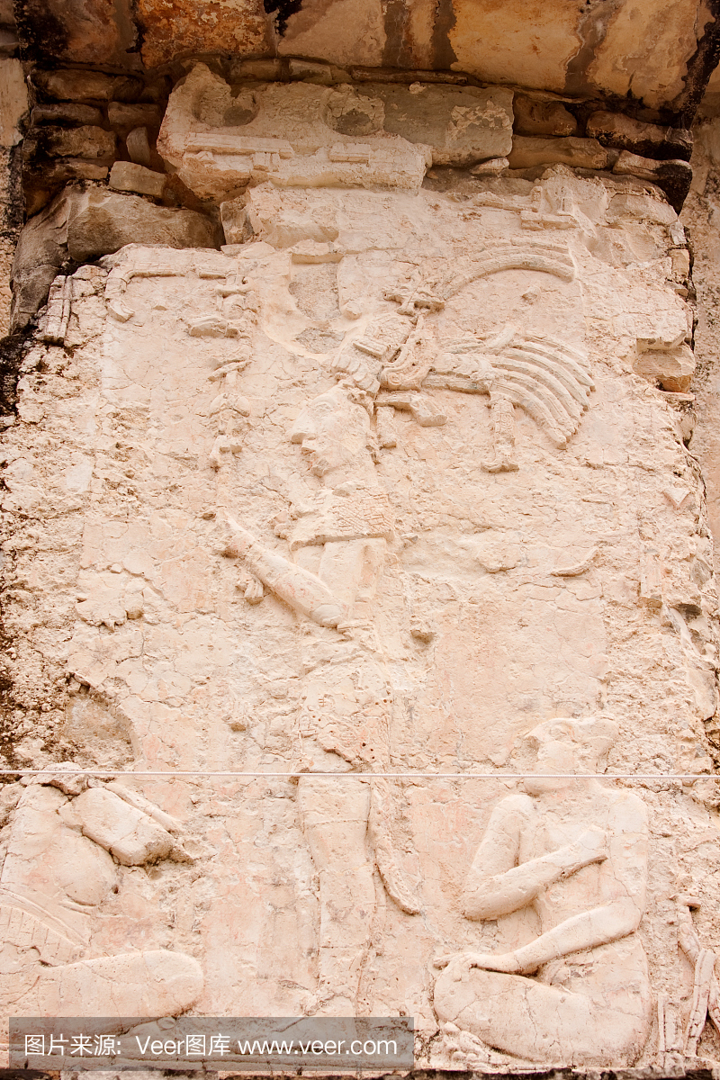 Modern Validation of Mayan Herbal Medicine: Exploration and Recognition ...