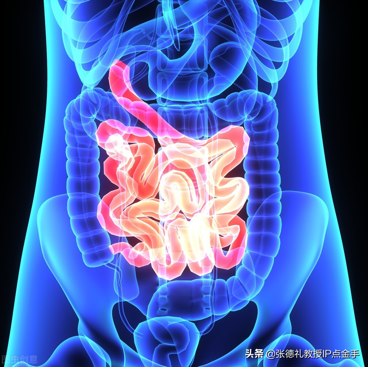 Zhu Ping: Scientists have mapped a complete human intestinal cell map ...