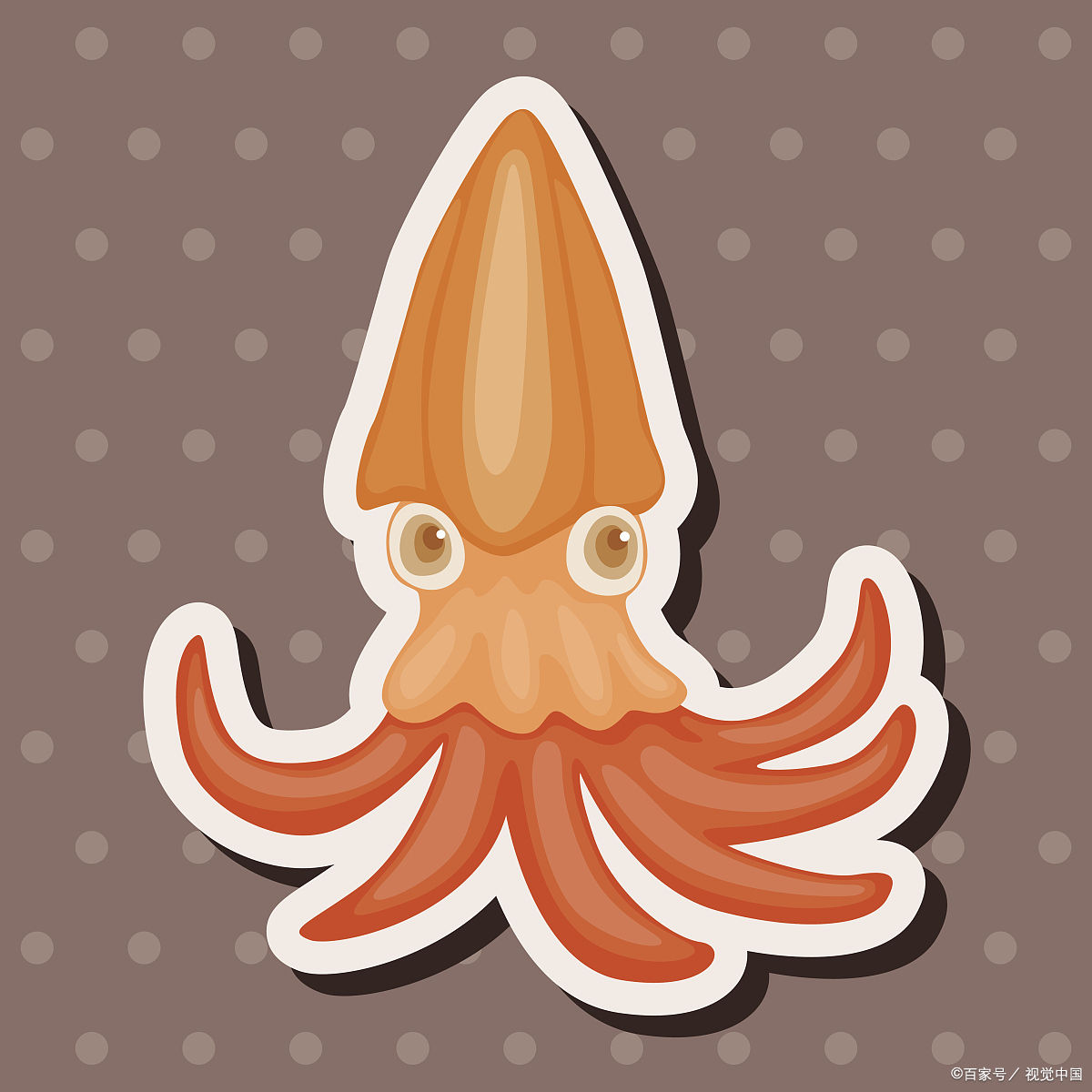 Share: What are the similarities and differences among octopus ...