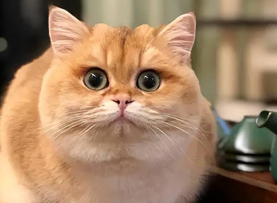 There are 6 reasons why the gold gradient has "tear marks", you don't ...