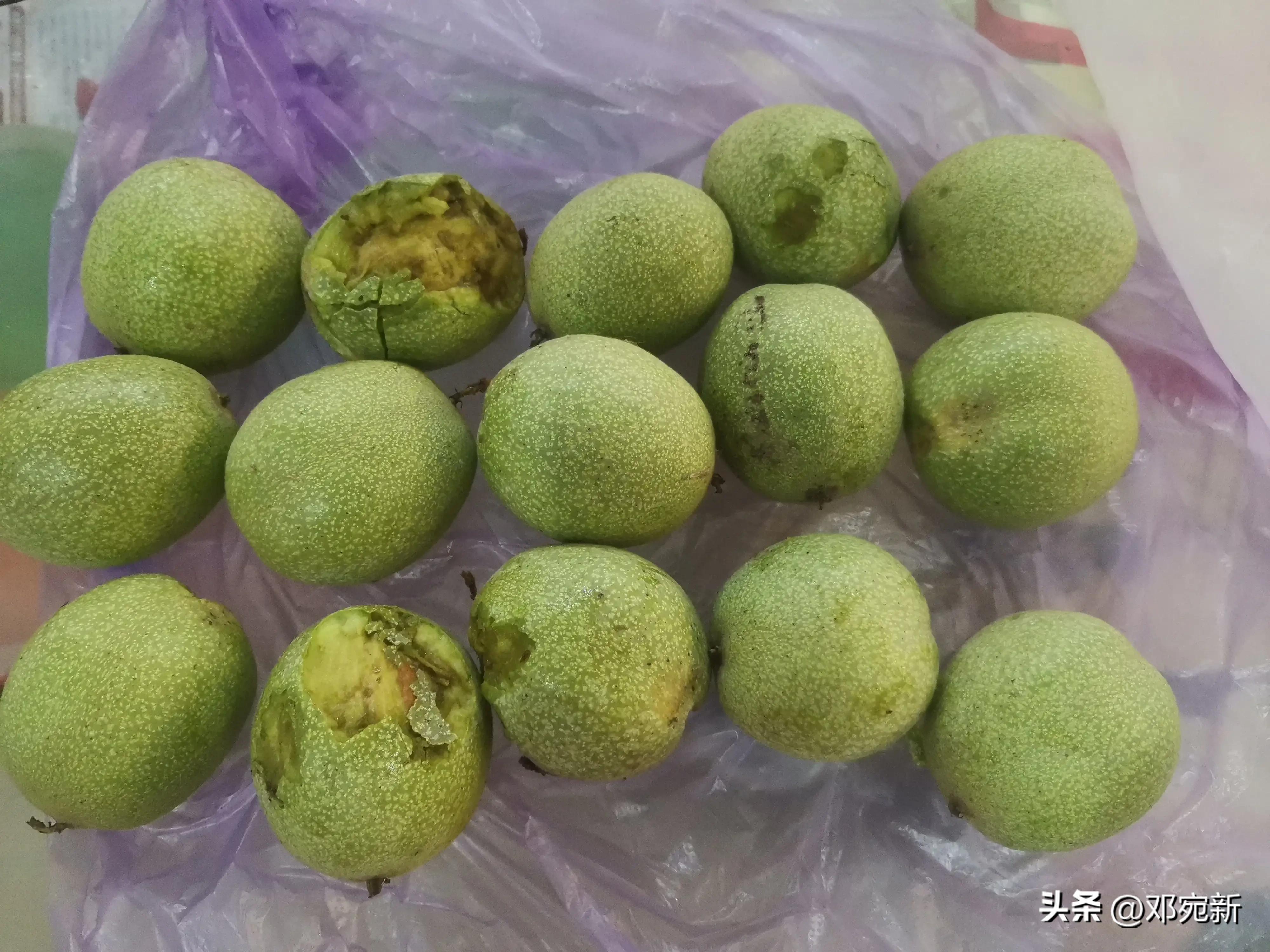 Green walnuts are actually edible. - iNEWS