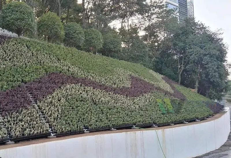 Slope greening design method and application of plants - iNEWS