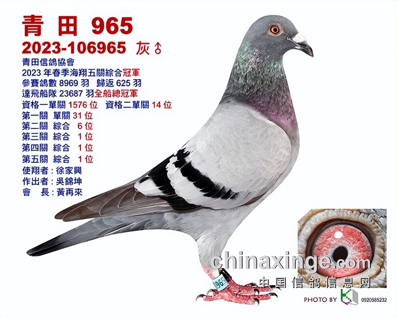 Come and watch the "magic bird" in Taiwan's 80,000 pigeons Wuguan ...