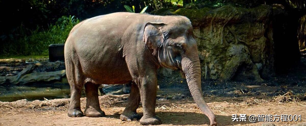 Top 10 Smelly Animals That Could Make You Throw Up All Day If You Met ...