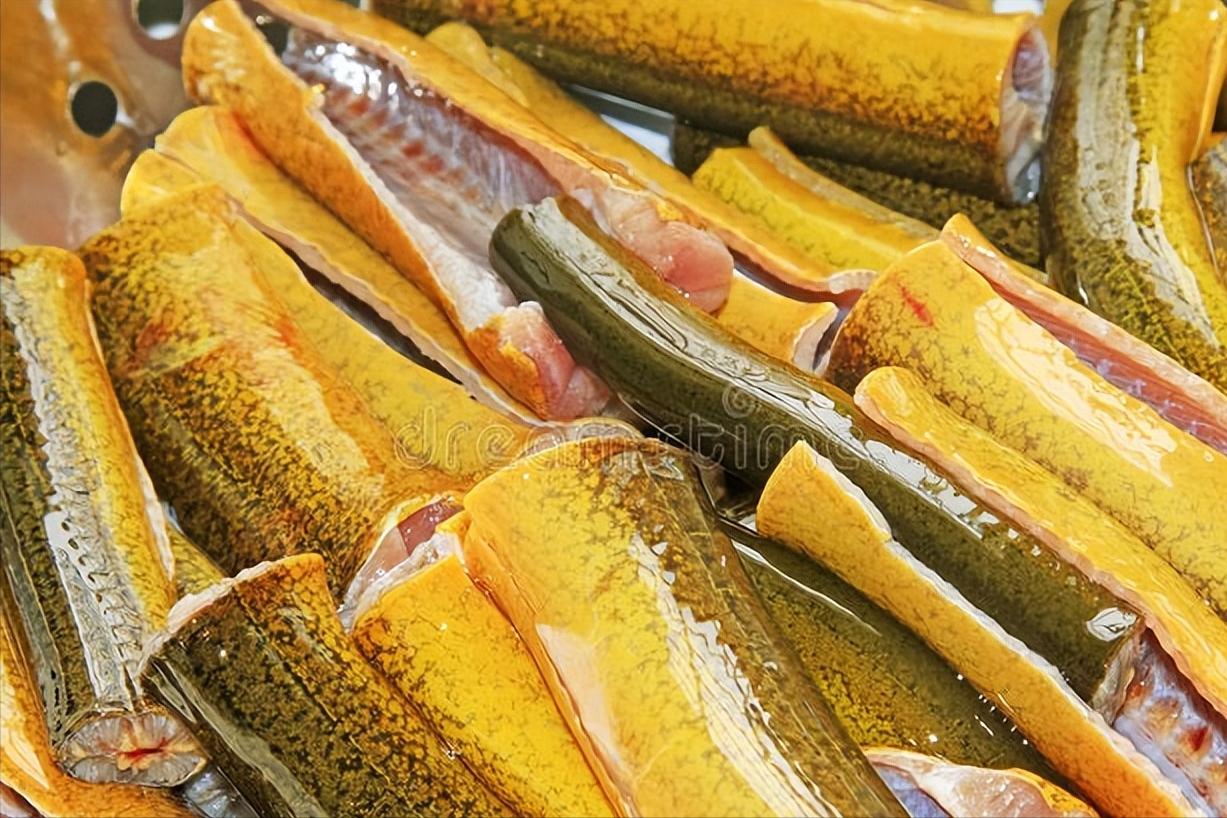 No matter how the rice field eel is made, do not put it directly into ...