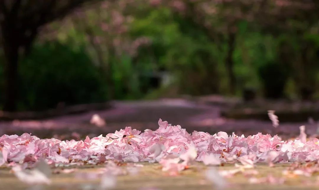 Ouyang Xiu's very unpopular poem, this poem is different from the ...