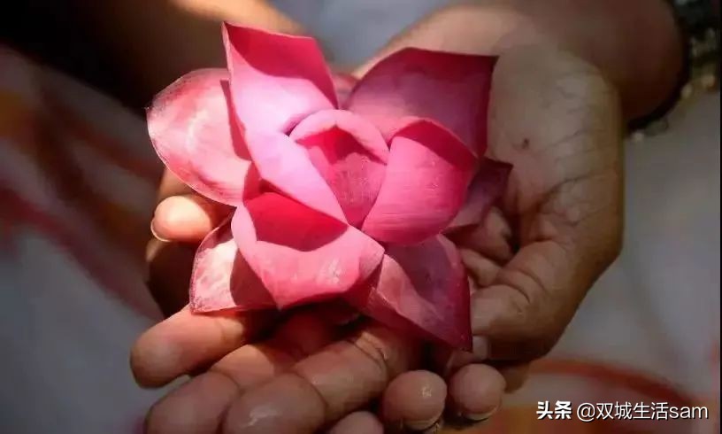 Can you capture the princess' heart?What is the magic of padparadscha ...