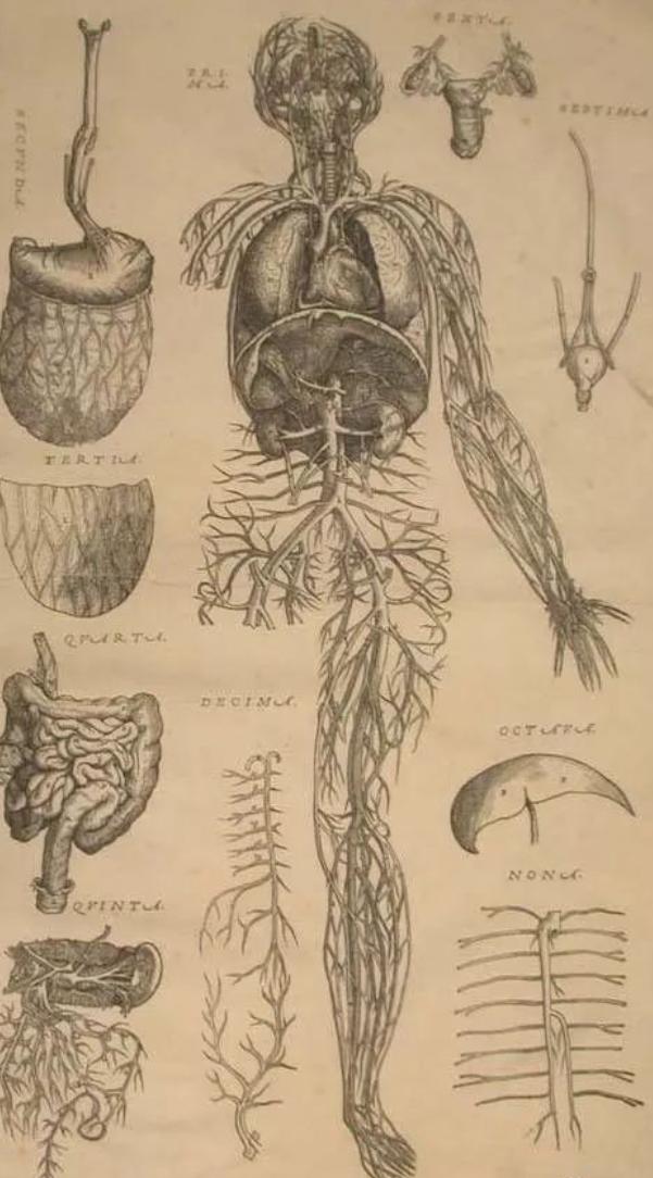 The Influence of French Physician La Savigny's Anatomical Research on ...
