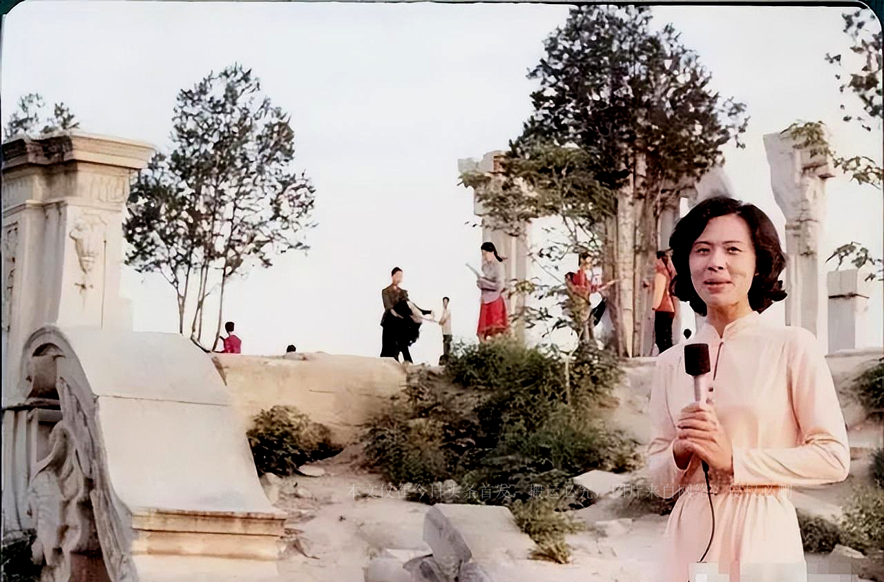 From a CCTV star to a mental patient, why is her life so bumpy? - iMedia