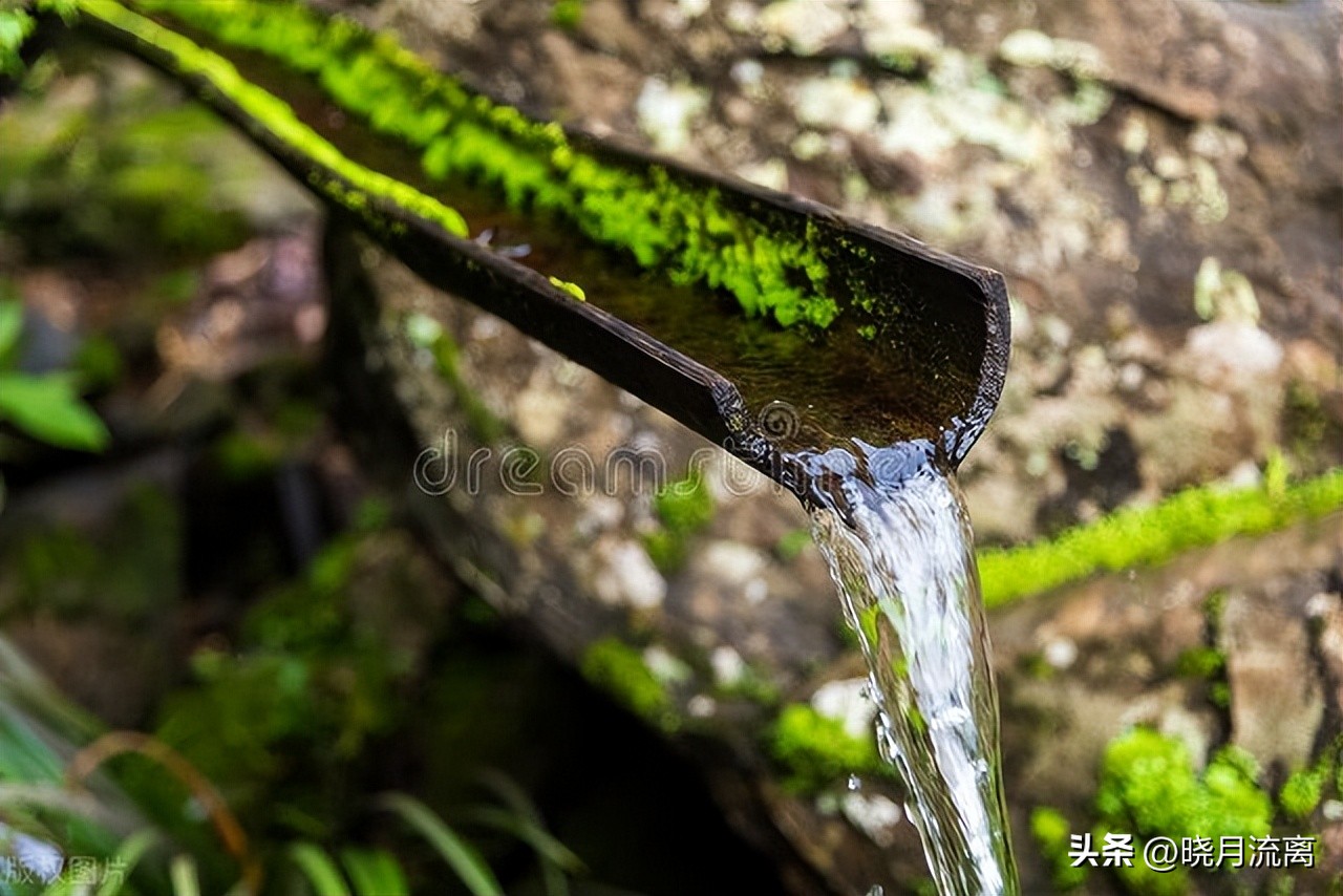 Ancient people's trash secrets revealed! Wondering what they do with ...