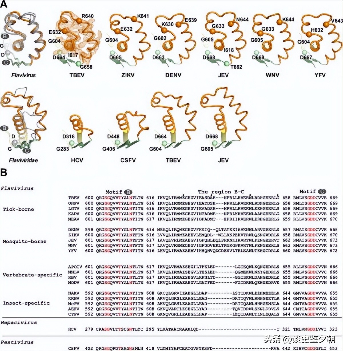 How complex is the dynamic change of RNA structure? - iMedia