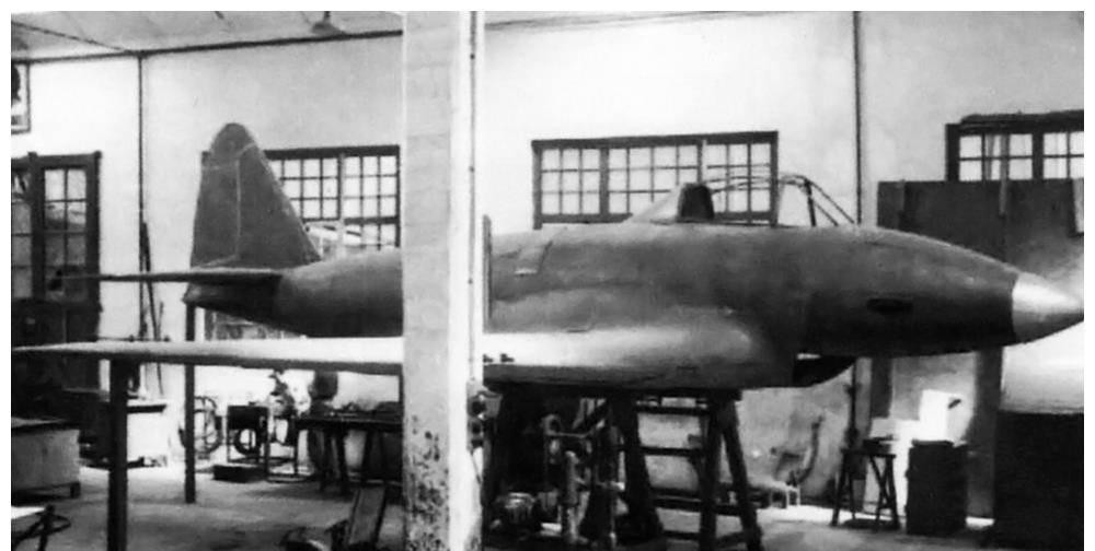Italy's Secret Fighter During World War II - Piaggio P.119 - iNEWS