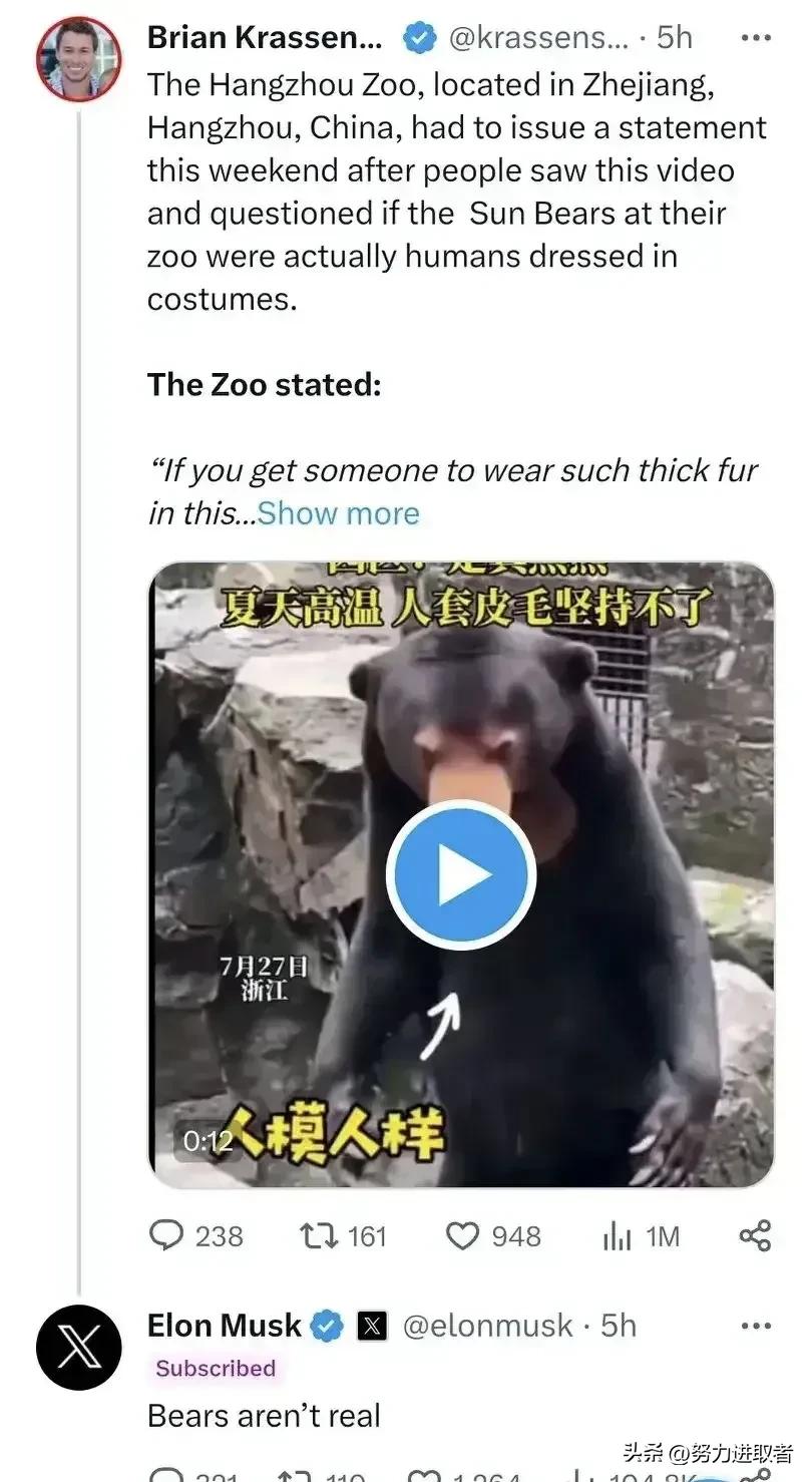 Musk responded to the controversy about the bear in Hangzhou Zoo ...