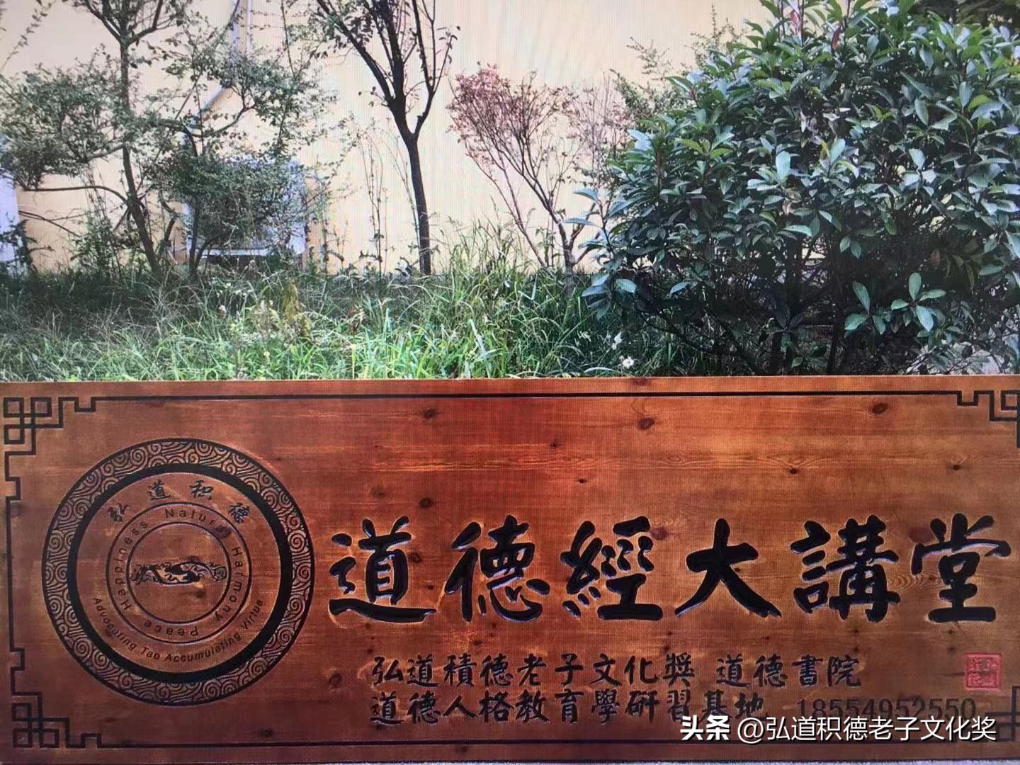 How to maintain concentration and improve the efficiency of study and ...