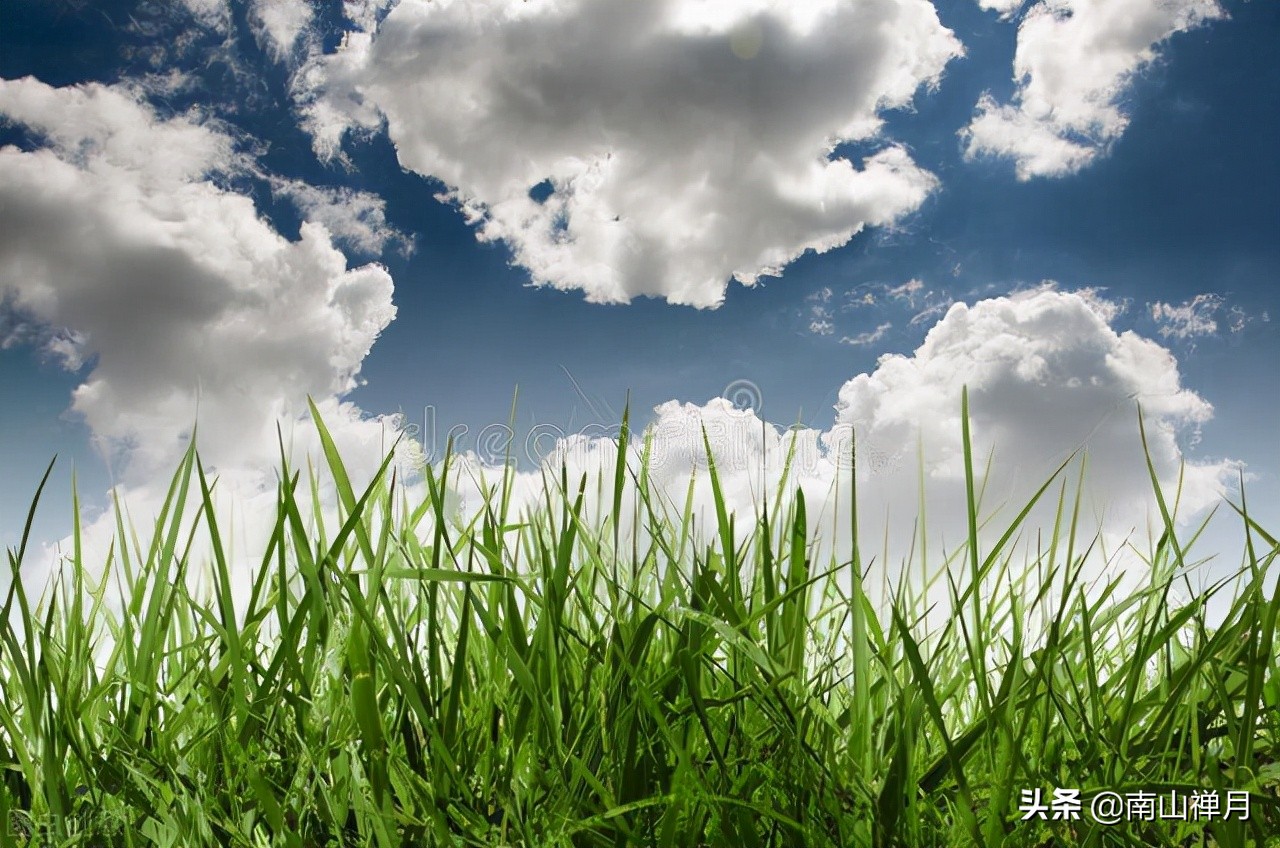 Chapter 65 of Tao Te Ching: Teach people to become insidious and ...