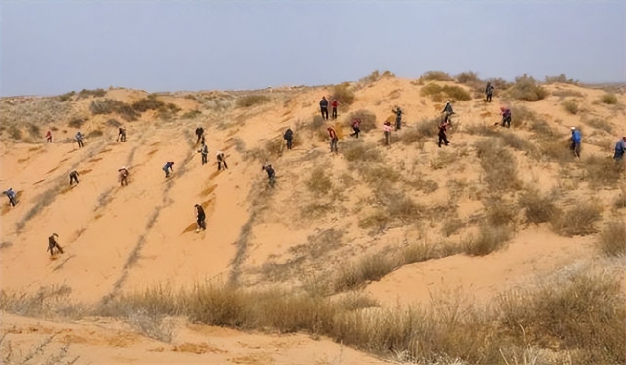 The Mu Us Desert, once barren and barren for hundreds of years, is now ...