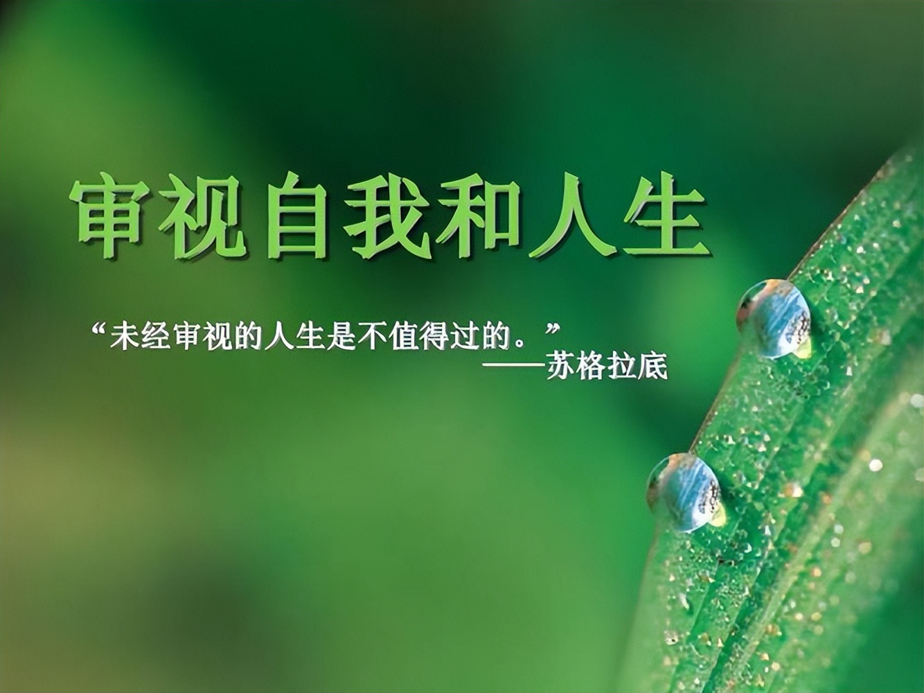 Life Is Not a Straight Line: Learning to Remain Calm and Firm in Life's ...