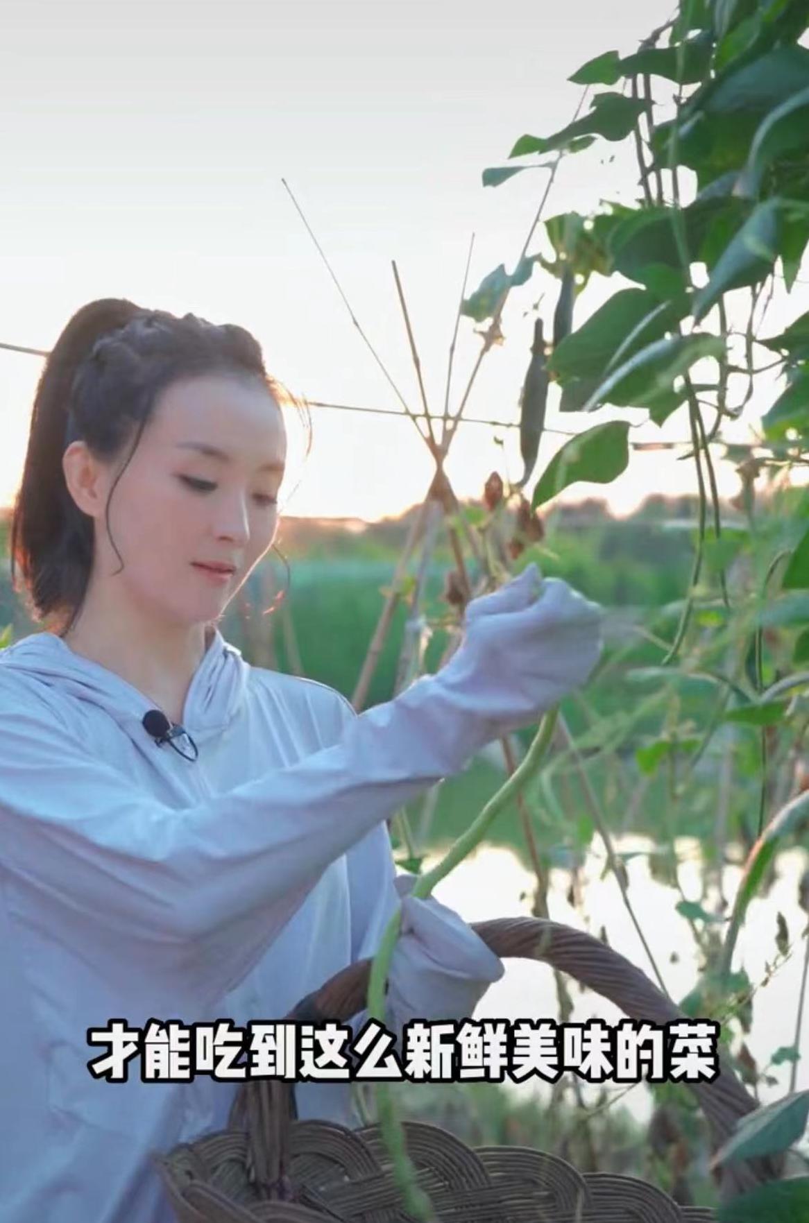 48-year-old Wang Yan went to the field to do farm work, causing ...