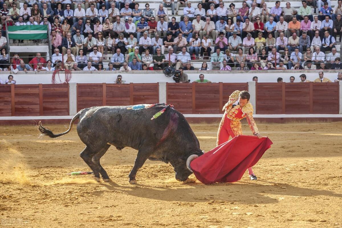 Bullfighting in Spain: Competition between Traditional Sports and ...