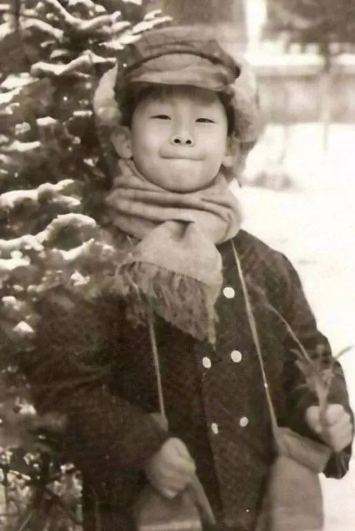 Zhang Yi, guarding vegetative people for 10 years of first love ...