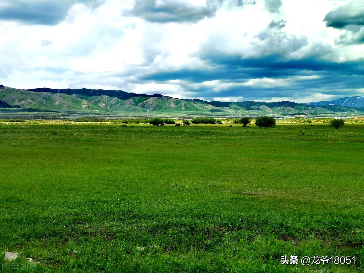 Chi Lechuan Rica Suqi - iNEWS