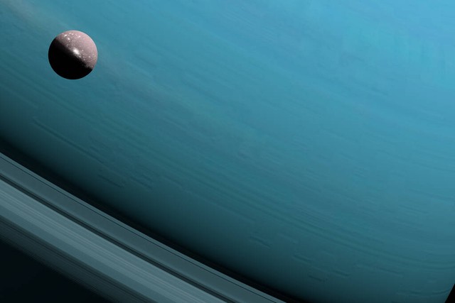The blue-green fat man lying flat and rolling: Uranus - iNEWS
