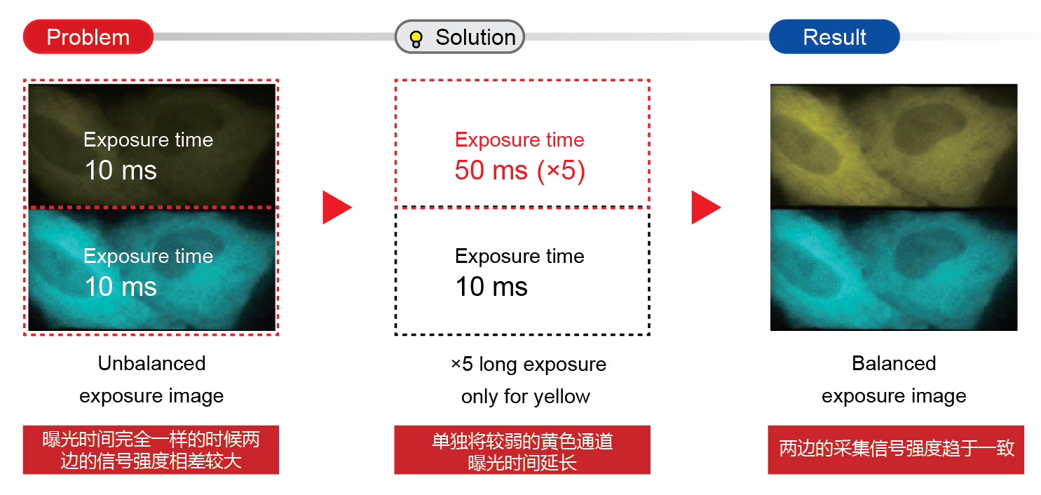 Hamamatsu single-camera two-color simultaneous imaging solution - iMedia