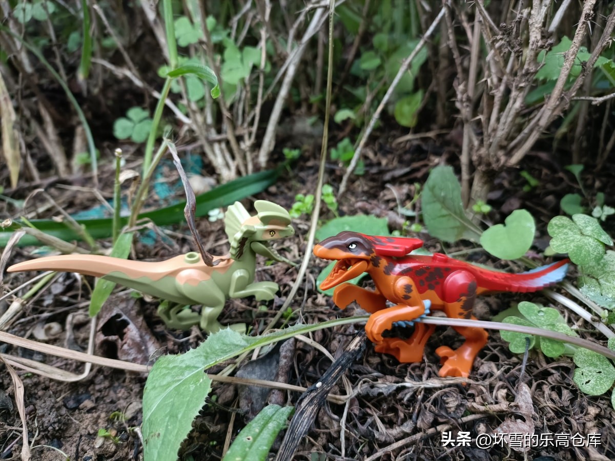 The new Pyroraptor is here!Will you start?Try the LEGO Jurassic Double ...