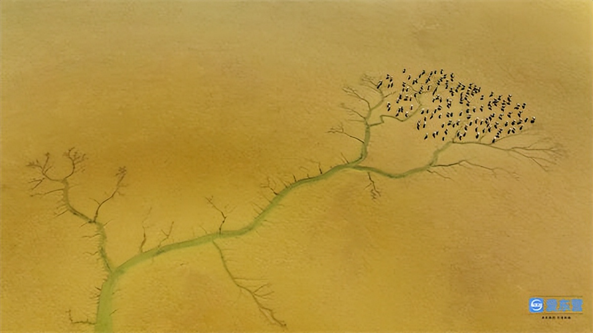 The Bird Paradise of the Dahe River "The Love of the Yellow River ...