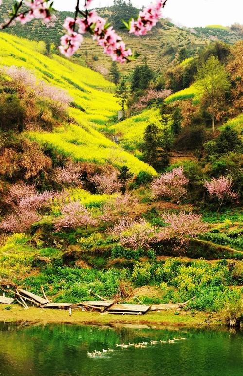 Prose: In spring, interpreting the beauty of life - iNEWS