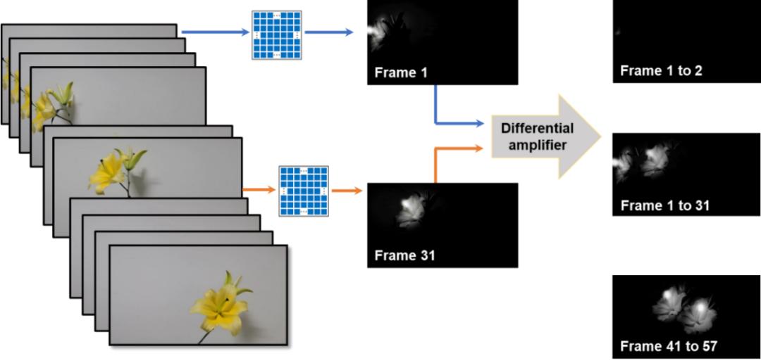 Neuromorphic vision sensor for ultra-weak ultraviolet light detection inspired by tetrachromatic ...