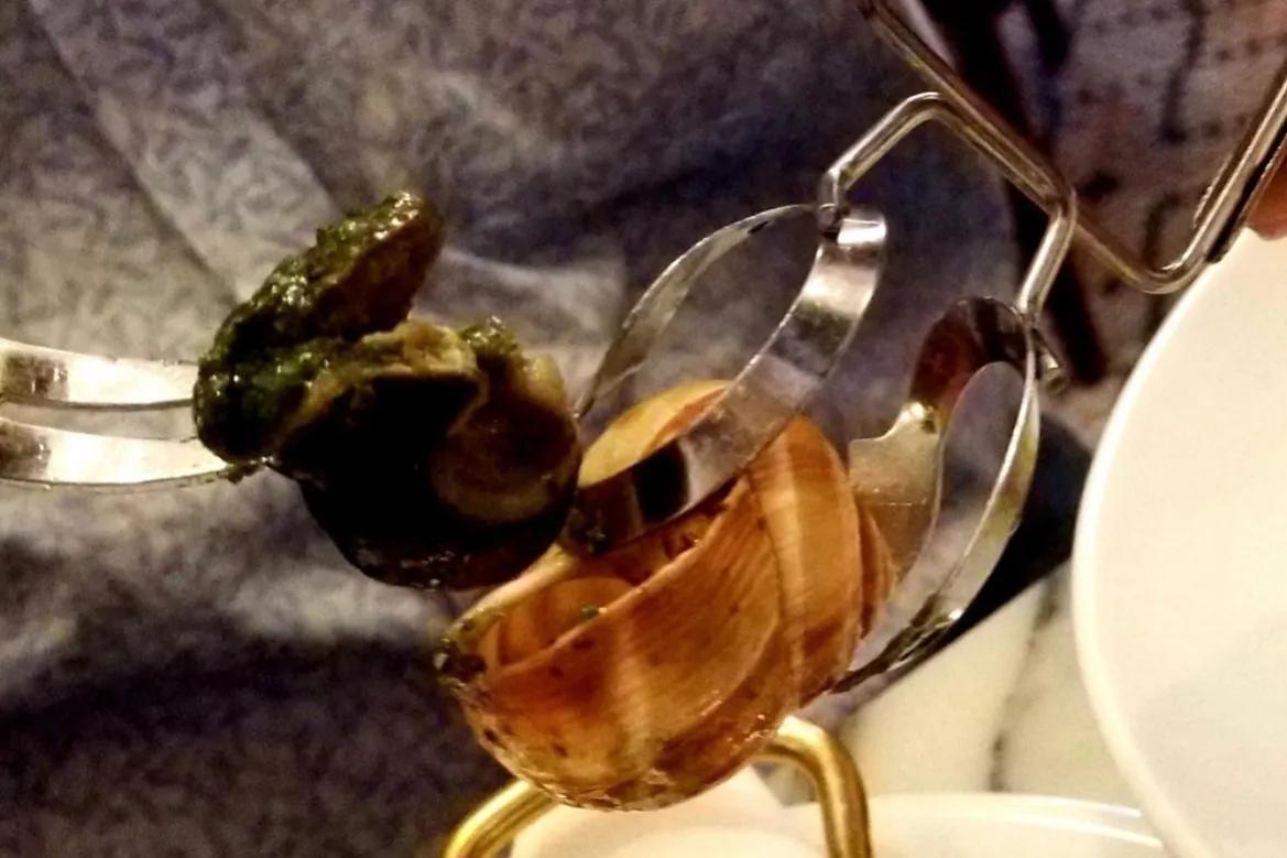 International Snail Day: A day to learn about French snails [46 of the ...