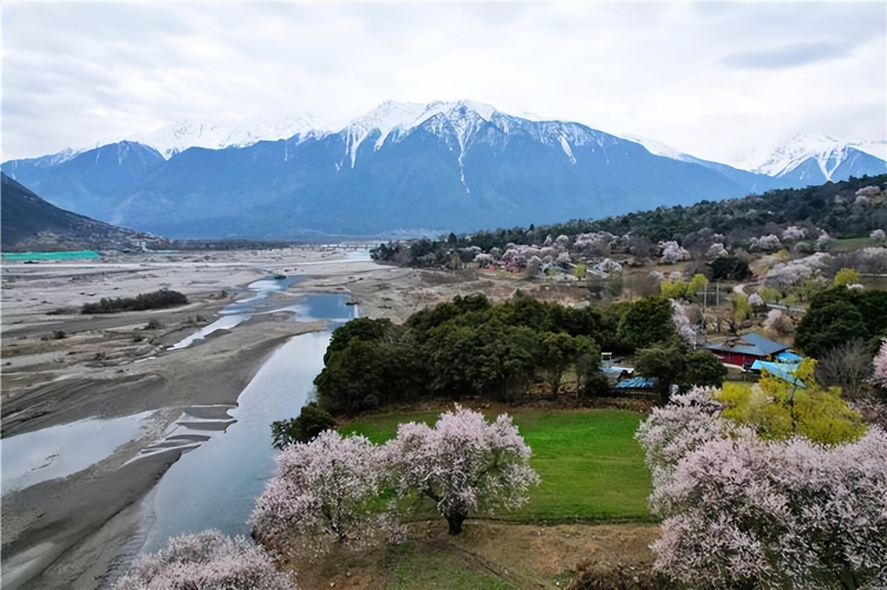 China's flower viewing map, Linzhi, Tibet, the 30-kilometer Peach ...