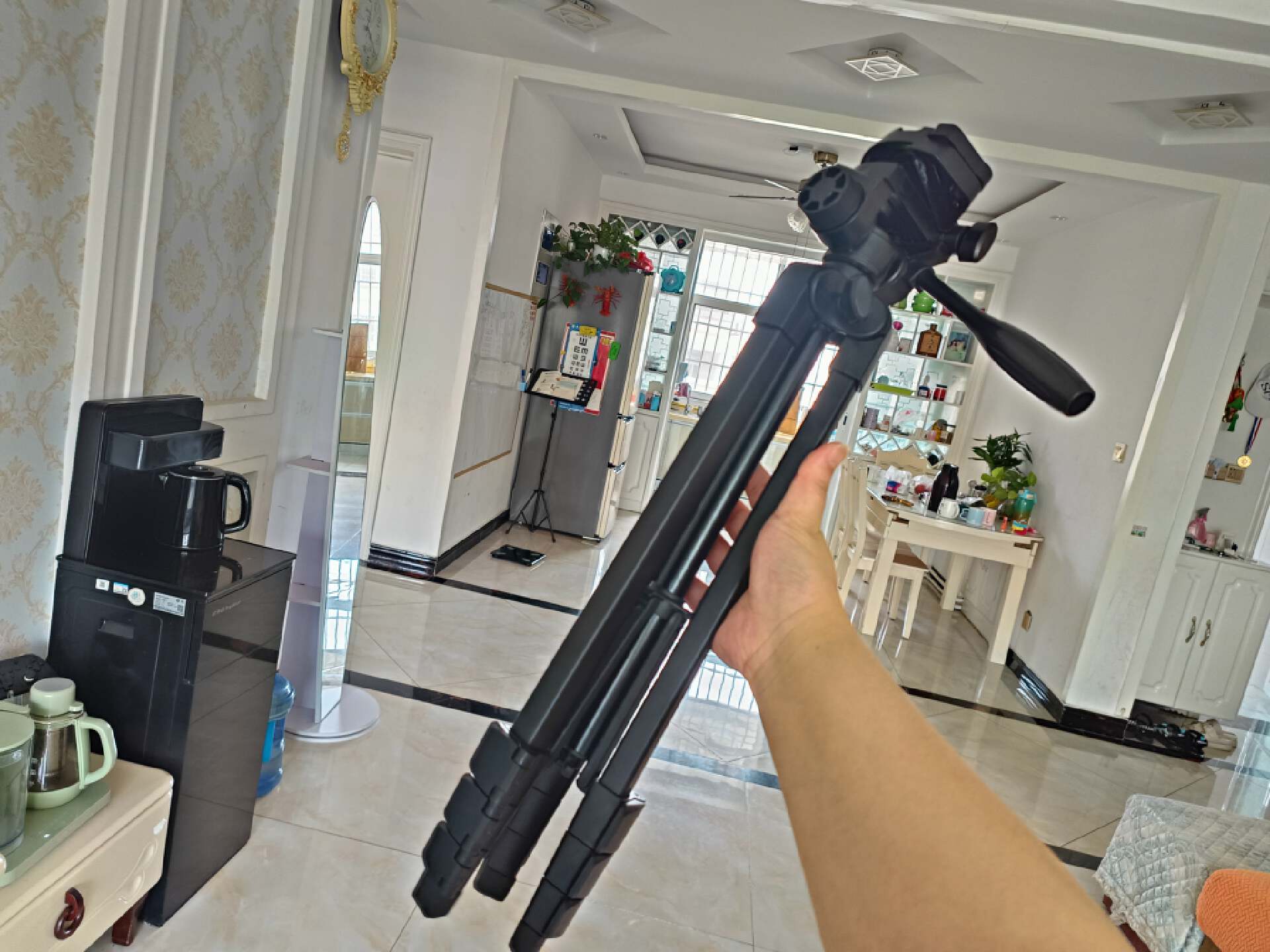 Freeze every wonderful moment, Mipo carbon fiber tripod is the best ...
