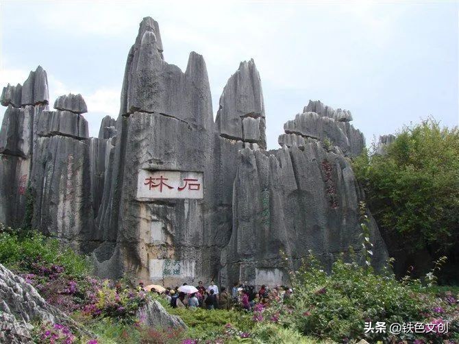 Stone Forest and Earth Forest - iMedia