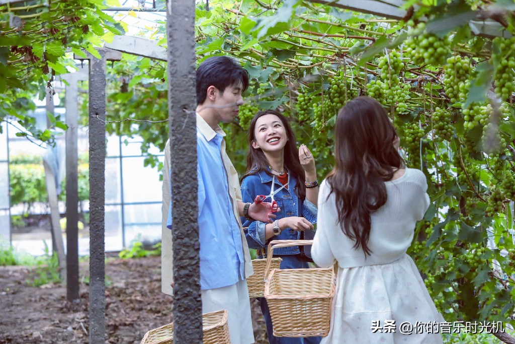 Heartbeat 5: Jin Jiayue's sense of proportion makes Guo Haoran in a dilemma, and Li Chengxuan's ...