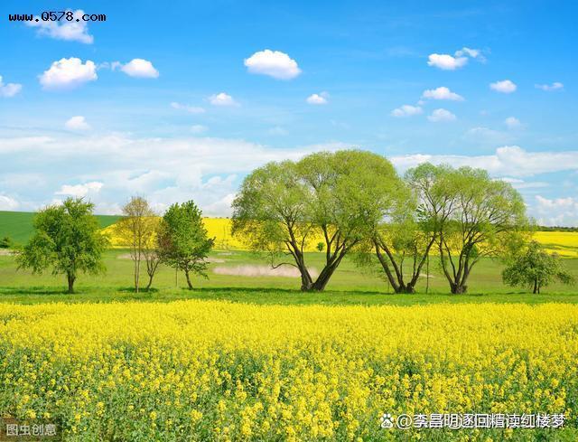 Unforgettable meaning - spring memory - iNEWS