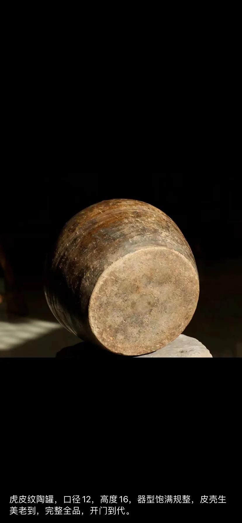 Tiger skin pattern clay pot - iMedia