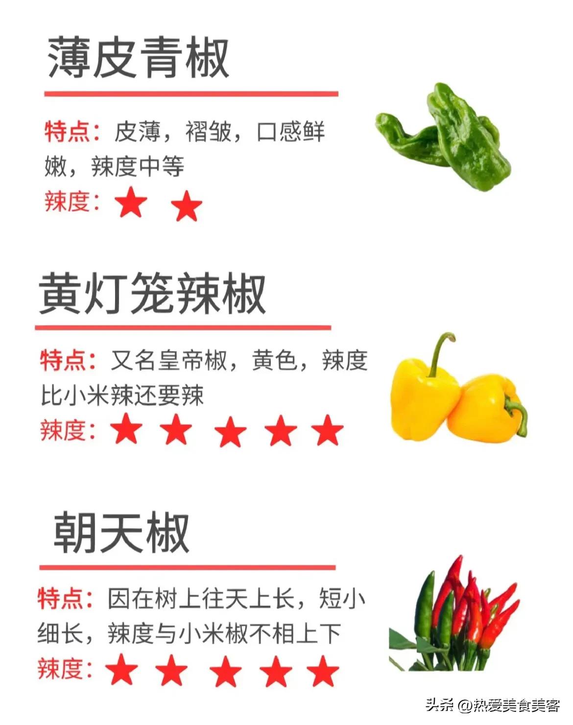Common green and red pepper varieties and their differences - iMedia